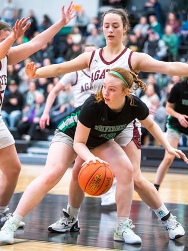 Wolverines welcome in new court with dominant win over Agates ...