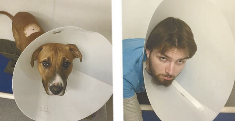 RRAR: Picture perfect parody | Local | mesabitribune.com