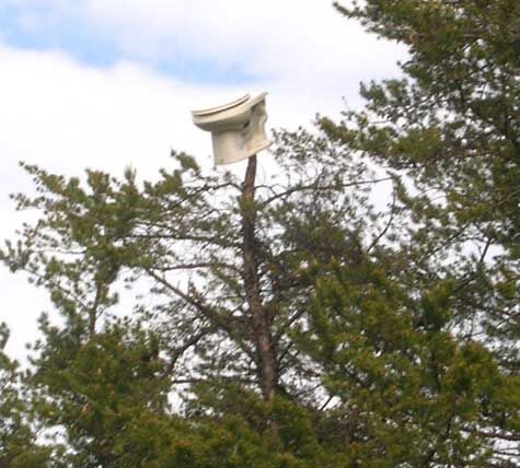 Wasteside rest stop for the birds? | Local | mesabitribune.com