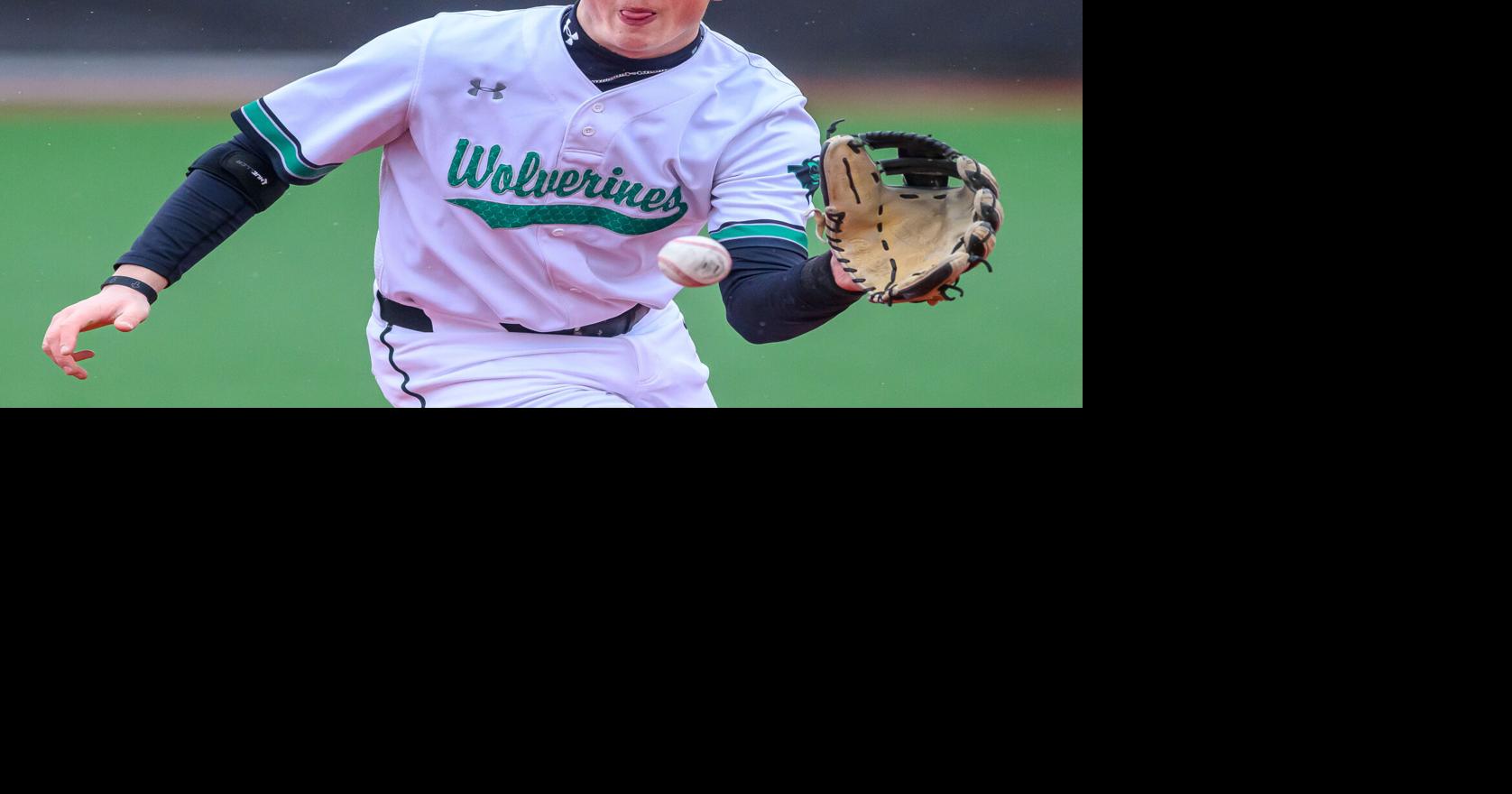 Rock Ridge-Deer River Baseball | Gallery | mesabitribune.com