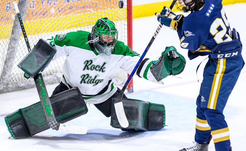 Wolverines fall short against Hermantown, 6-1 | Featured ...