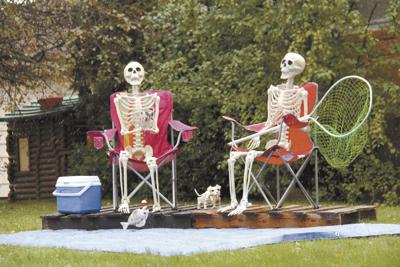 dog skeleton front yard