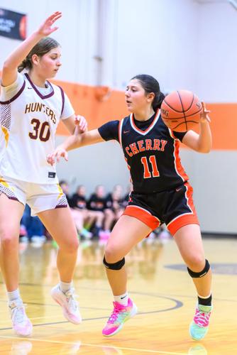 Cherry-Denfeld Girls Basketball | Gallery | mesabitribune.com