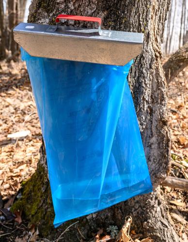 Maple syrup season is 'the sweetest time of year' | Local ...