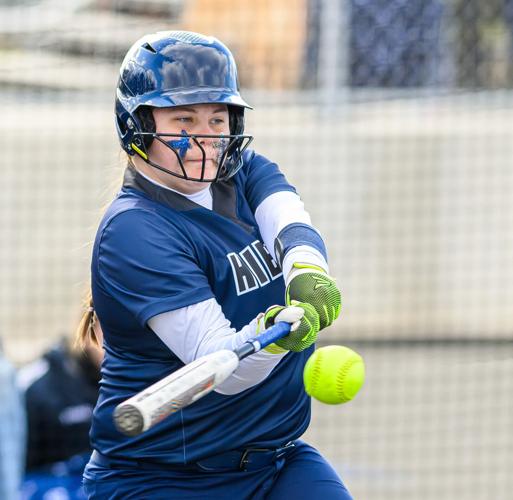 Hibbing-Proctor Softball | Gallery | mesabitribune.com