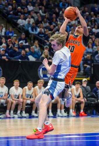 Tigers move on into State Class A finals | Sports | mesabitribune.com
