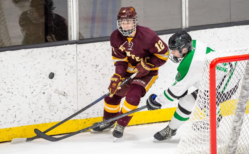 Rock Ridge Hockey | Gallery | mesabitribune.com