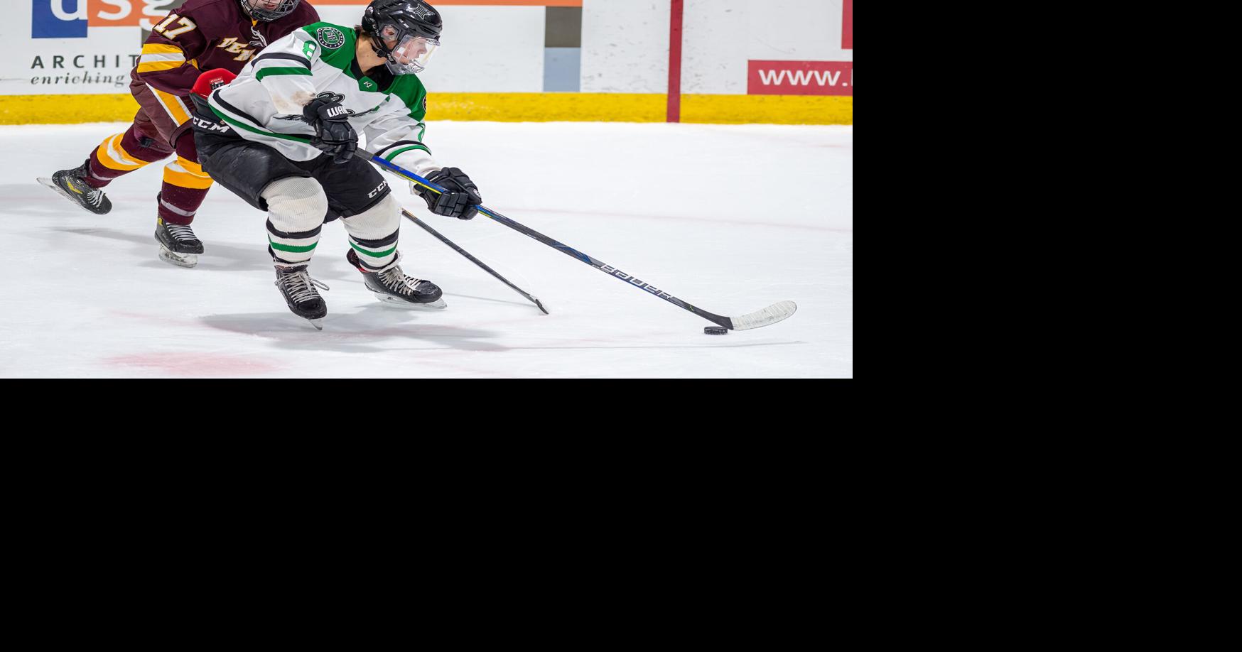 Wolverines ice Hunters 6-1 | Featured | mesabitribune.com