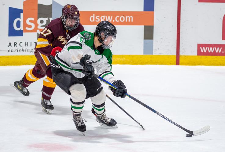 Rock Ridge Hockey | Gallery | mesabitribune.com