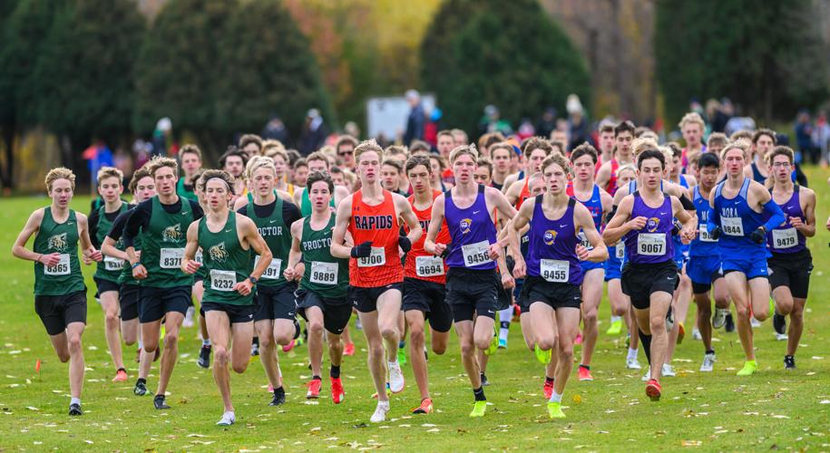 HHS boy harriers finally break state-meet drought | Sports ...