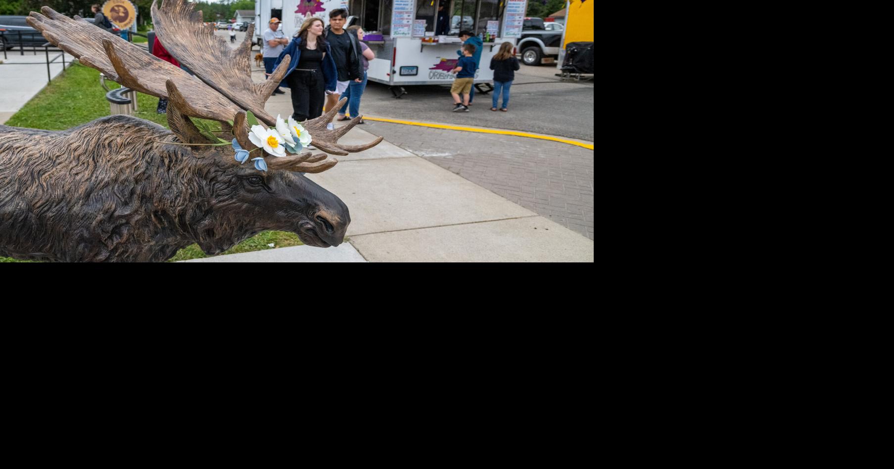 Cook Timber Days | Gallery | mesabitribune.com