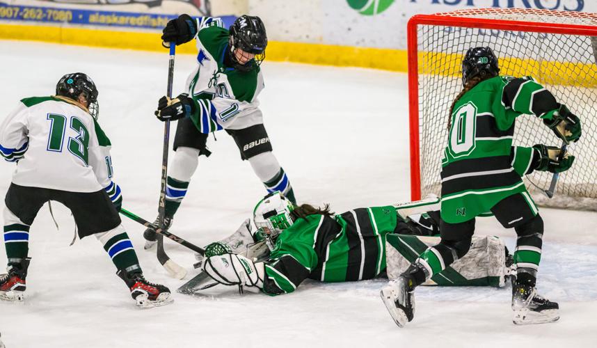 Wolverines come up empty in 7A championship, 6-1 | Sports ...