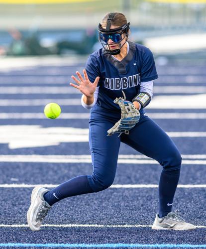 Hibbing-Proctor Softball | Gallery | mesabitribune.com