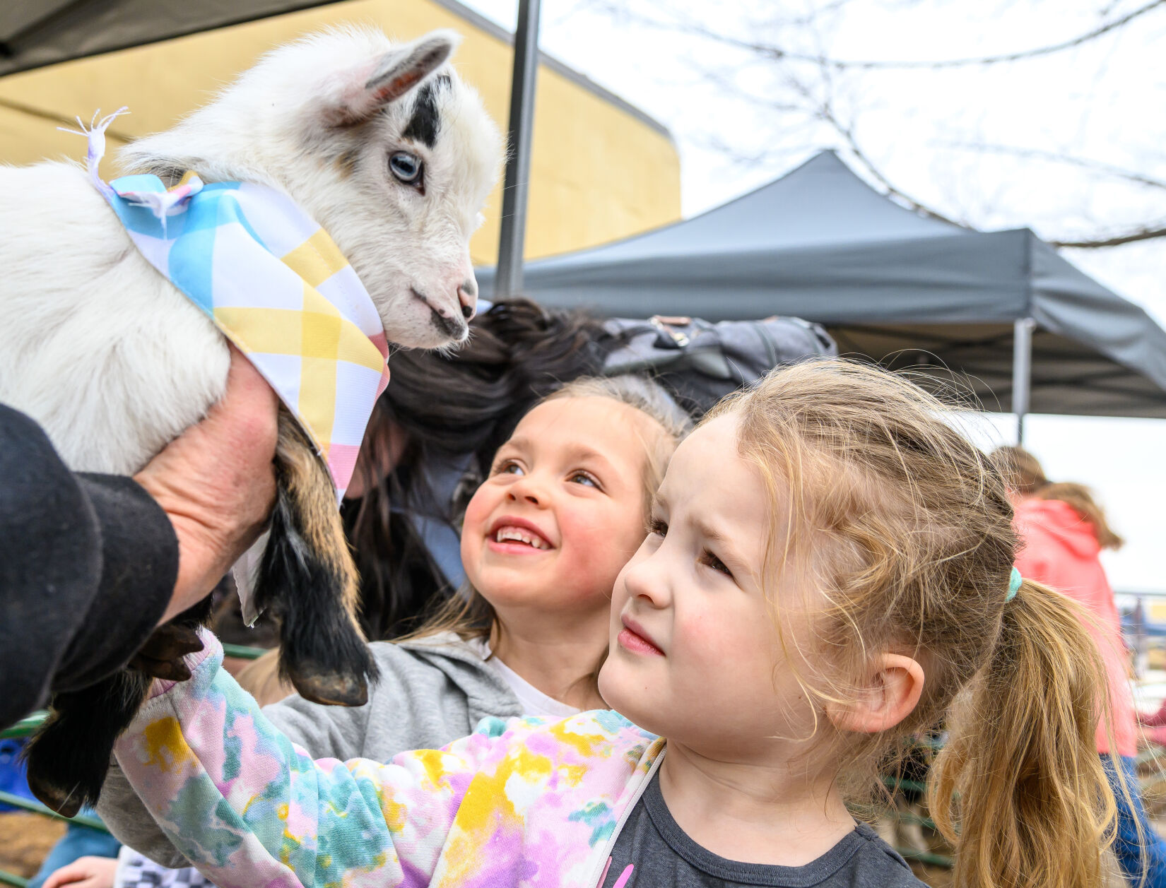 Easter at the Minnesota Discovery Center | News | mesabitribune.com
