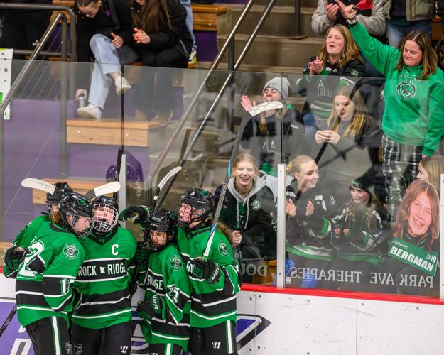 Wolverines come up empty in 7A championship, 6-1 | Sports ...