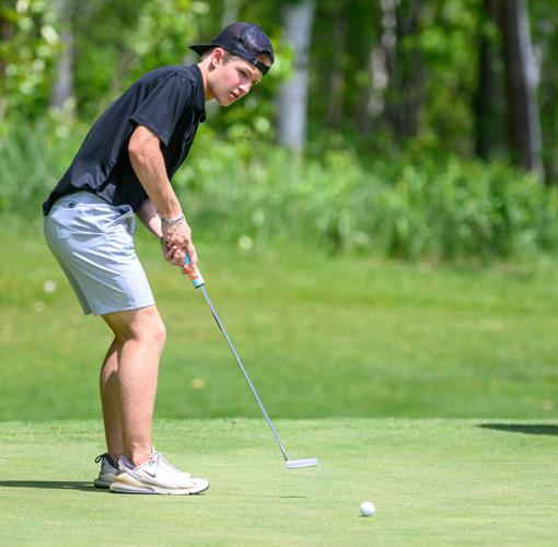 Wolverines repeat as 7AA golf champs | Sports | mesabitribune.com