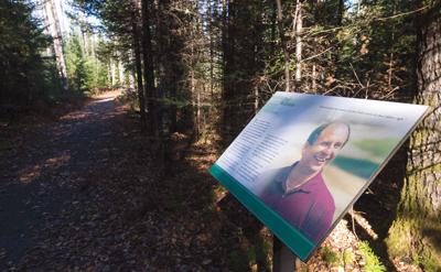 15 years after Iron Range plane crash, Wellstone's legacy still felt ...