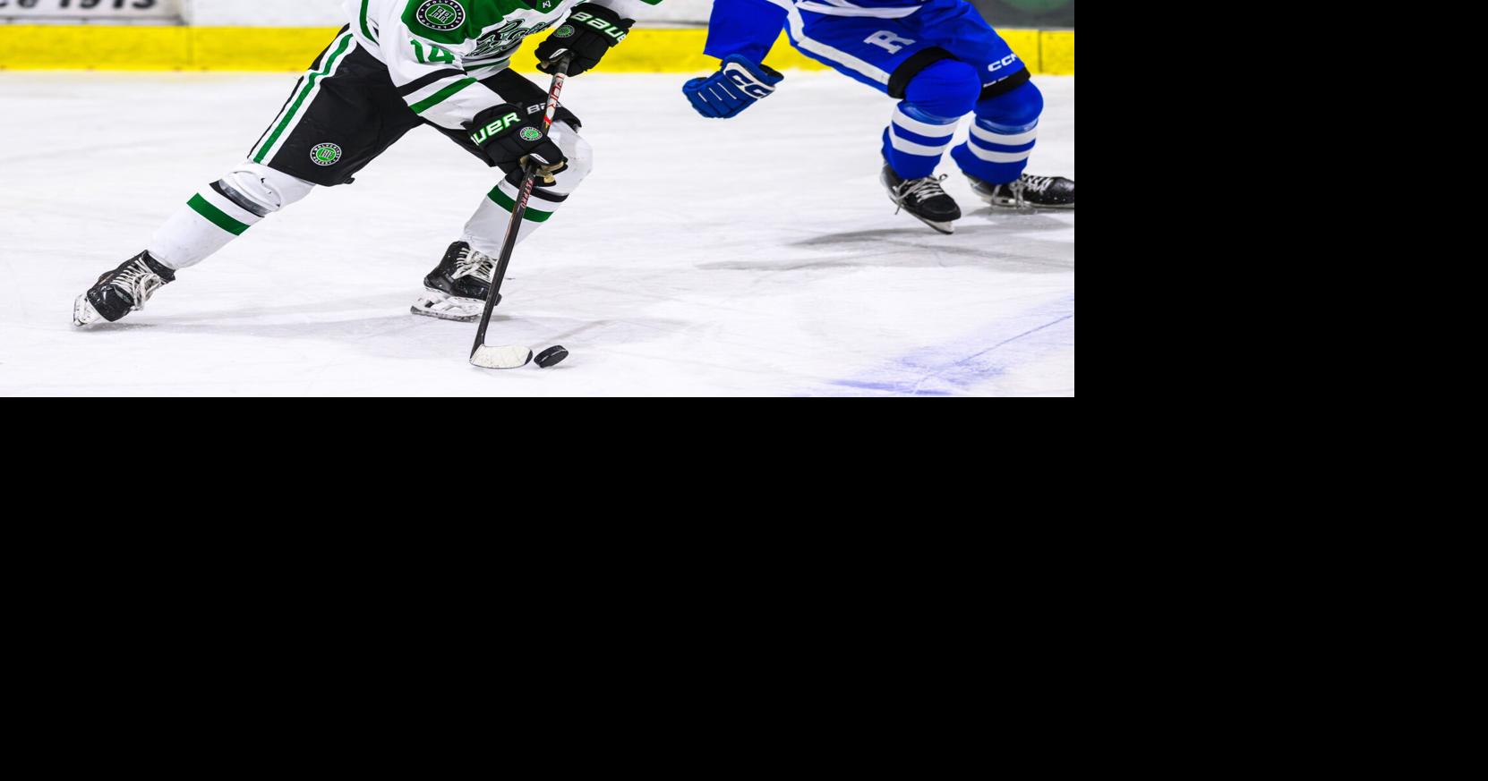 Rock Ridge-Rogers Hockey | Gallery | mesabitribune.com