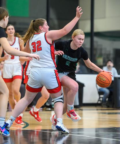 Wolverines run past Vikings, punch ticket into section final | Sports ...