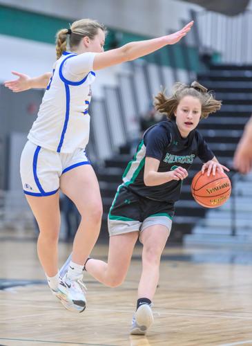 Rock Ridge-Esko Girls Basketball | Gallery | mesabitribune.com