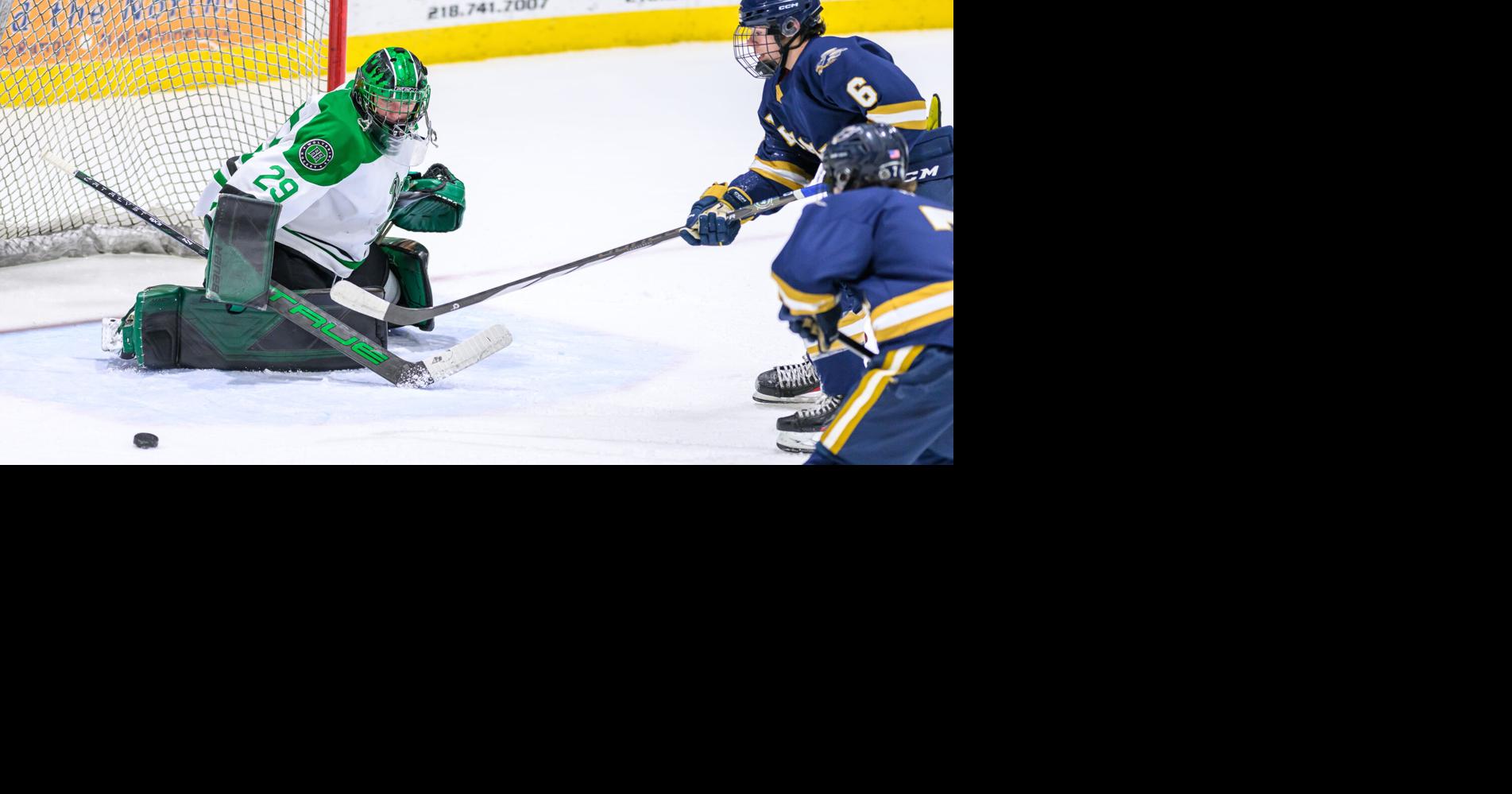 Wolverines fall short against Hermantown, 6-1 | Featured ...
