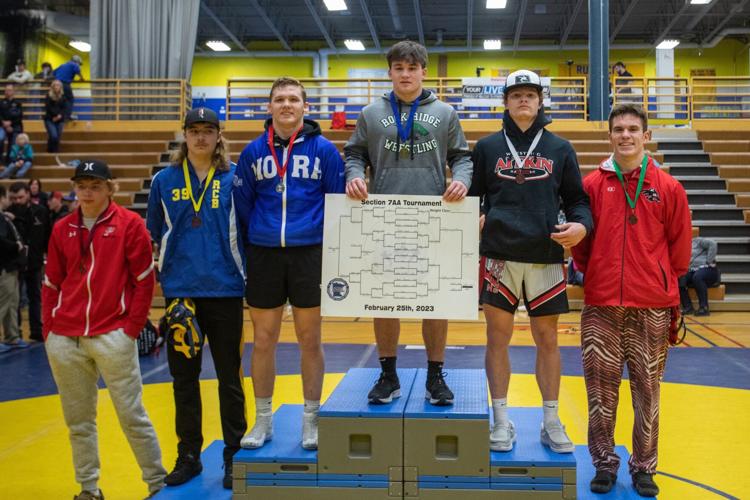 Campbell, Tapio win titles, Hedblom advances to state for Rock Ridge ...