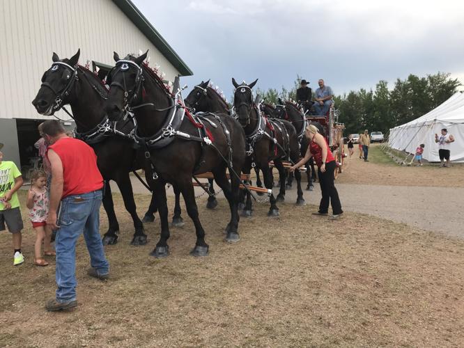 St. Louis County Fair continues to grow | Local | mesabitribune.com
