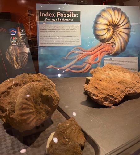 Hall of Geology exhibit is getting remodeled at MDC | Mine ...