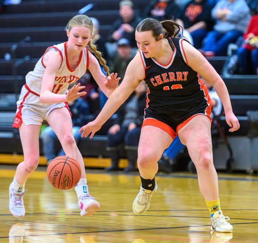 Timberwolves rally for win over Tigers | Sports | mesabitribune.com