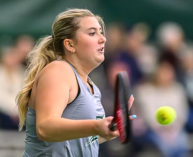 Wolverines back in section finals with 6-1 win over Greyhounds ...