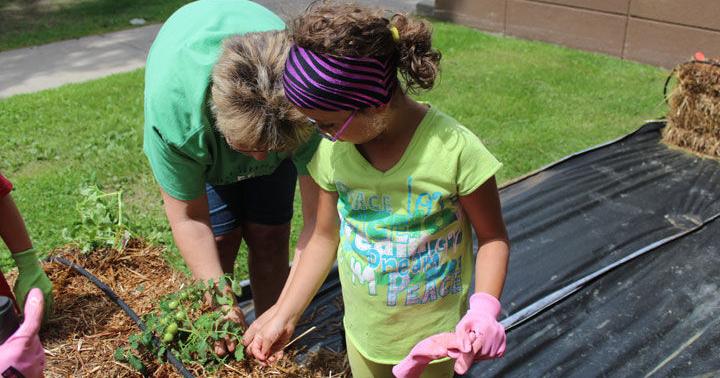 PLANTING KNOWLEDGE | Local | mesabitribune.com