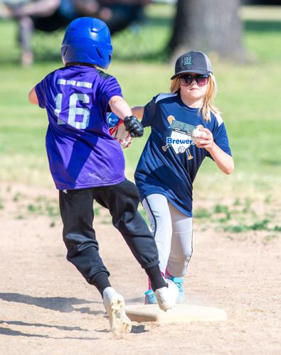 Rock Ridge Youth Baseball | Gallery | mesabitribune.com