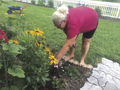 Summer blooms | Local | mesabitribune.com