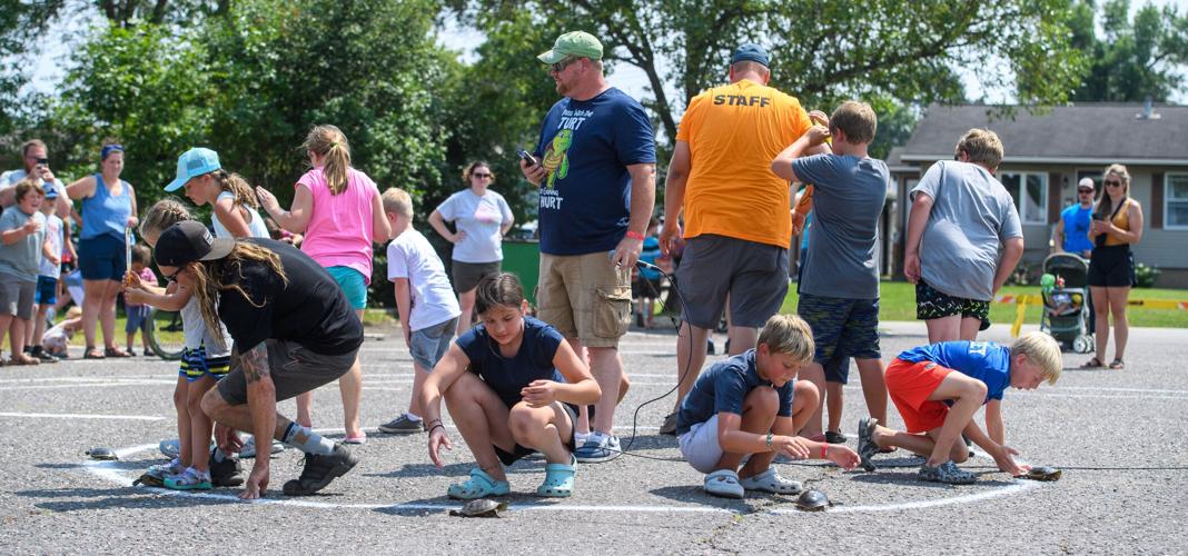 Hoyt Lakes Water Carnival Turtle Races | Gallery | mesabitribune.com