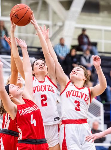 Cardinals rally in second half to down Ely | Featured | mesabitribune.com