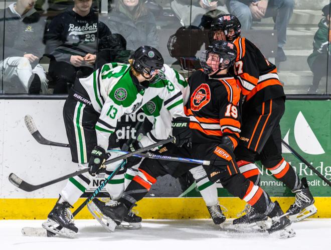 Rock Ridge-Grand Rapids Hockey | Gallery | mesabitribune.com