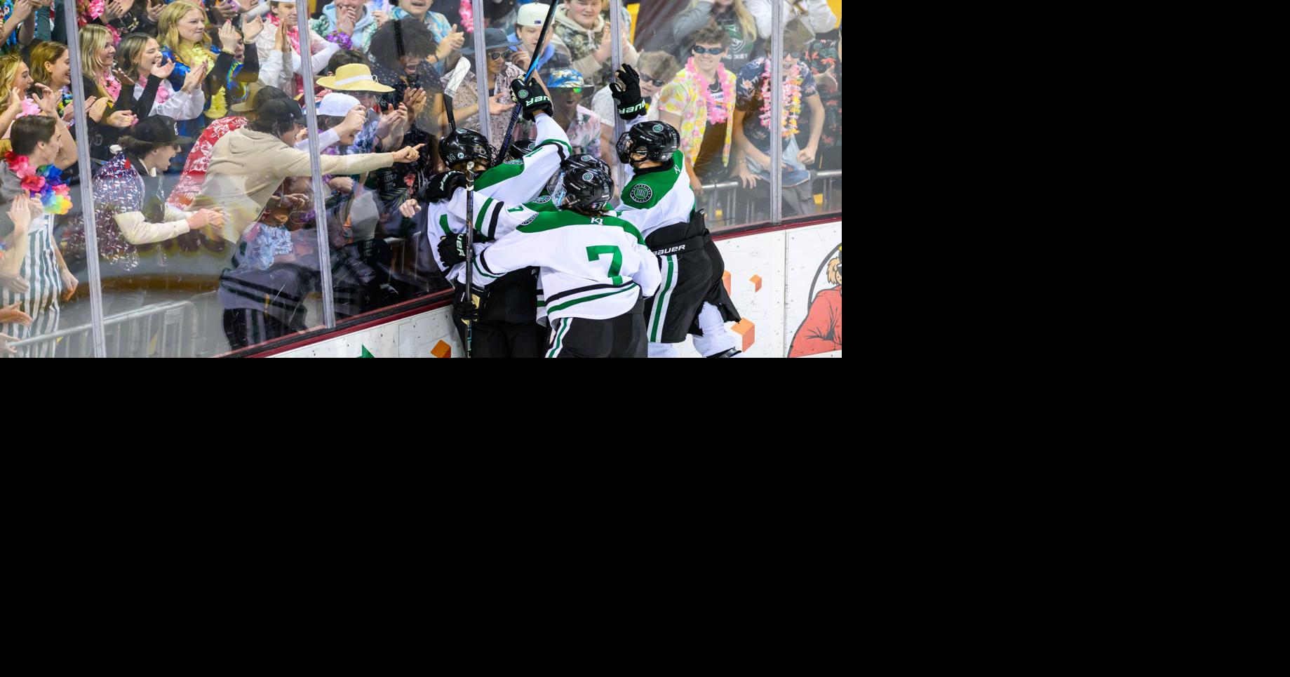 Wolverines slated for Hockey Day Minnesota 2026 | Sports ...