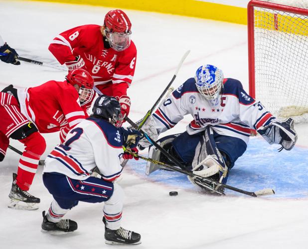 Hibbing-Luverne State Quarterfinal Hockey | Gallery | mesabitribune.com