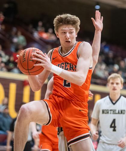 Tigers will be going for a 3-peat, possible state title | High School ...