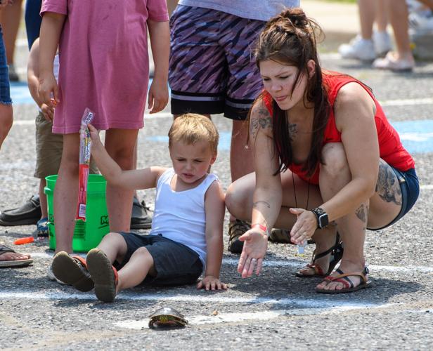 Hoyt Lakes Water Carnival Turtle Races | Gallery | mesabitribune.com