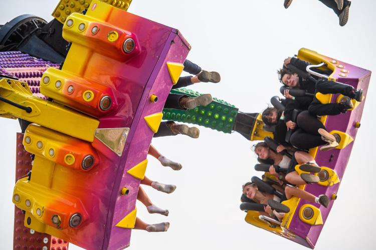 St. Louis County Fair | Gallery | mesabitribune.com