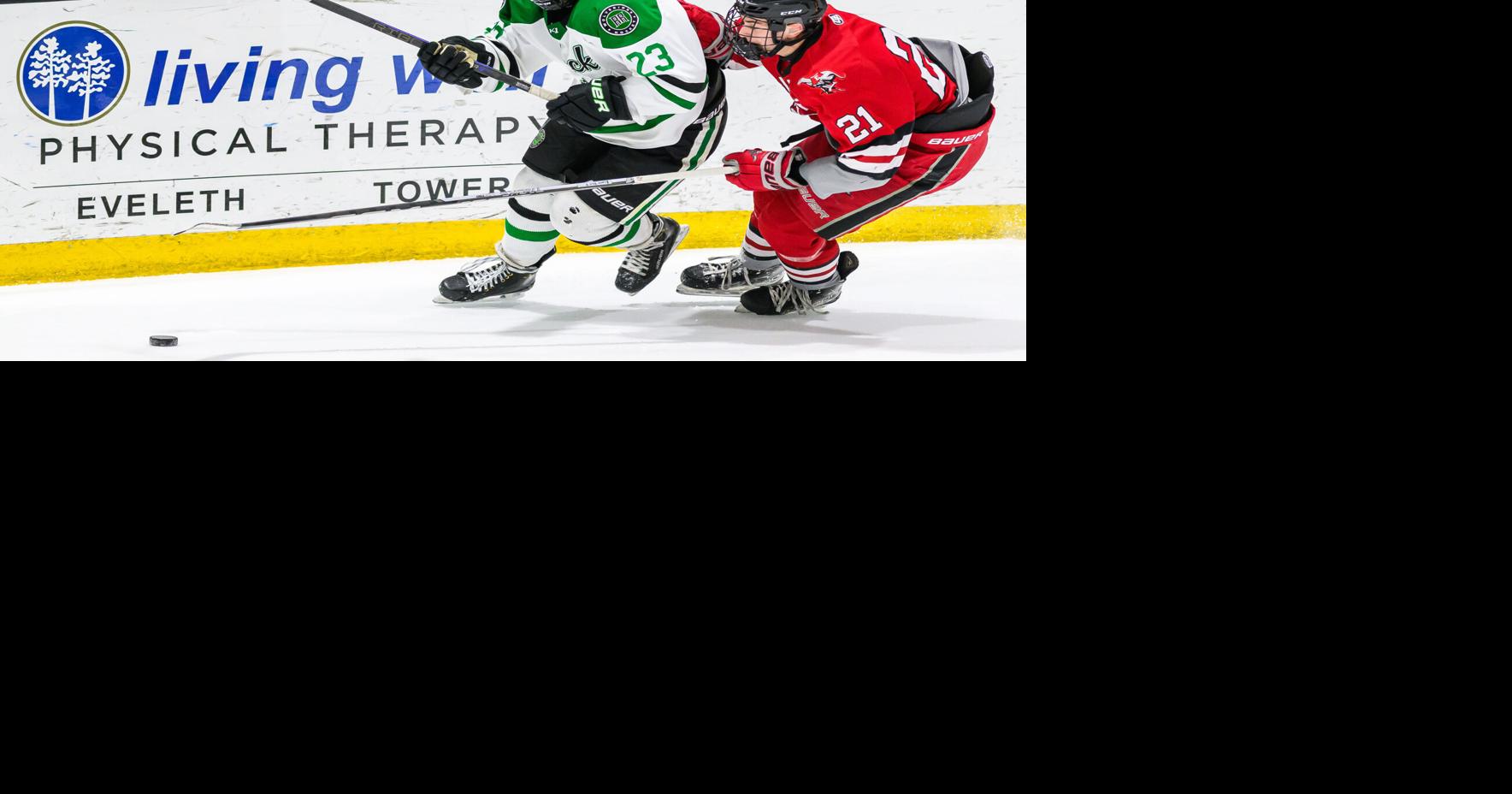 Dimberio hat trick lifts Rock Ridge past Duluth East, 4-2 | Sports ...