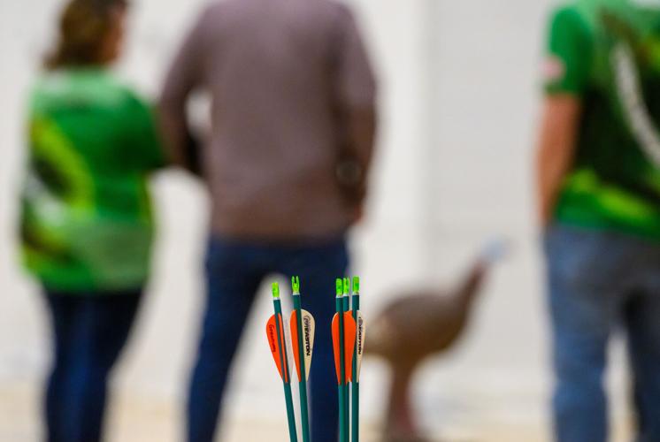3D Archery | Gallery | mesabitribune.com