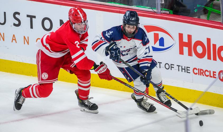 Hibbing-Luverne State Quarterfinal Hockey | Gallery | mesabitribune.com