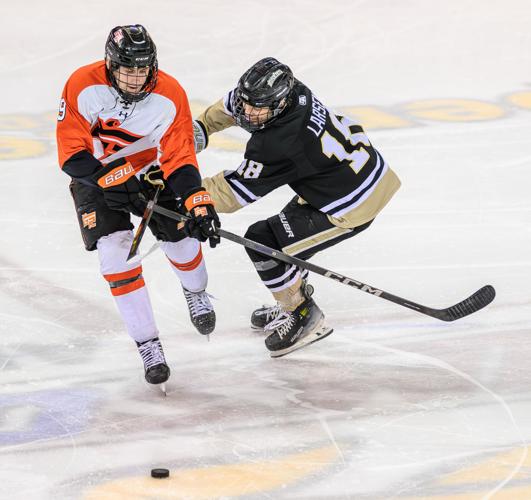 Grand Rapids Section 7AA Semifinal Hockey | Gallery | mesabitribune.com