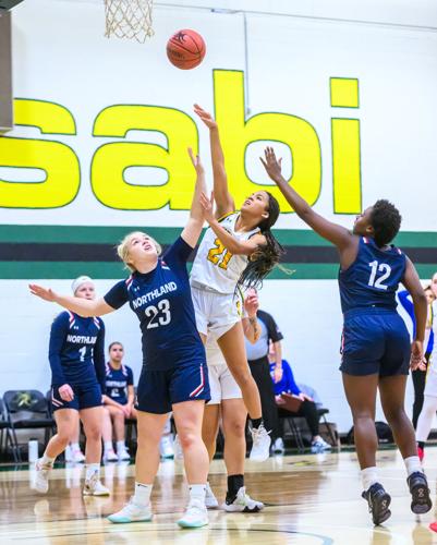 Norse overcome shooting woes to down Pioneers, 59-50 | College Sports ...