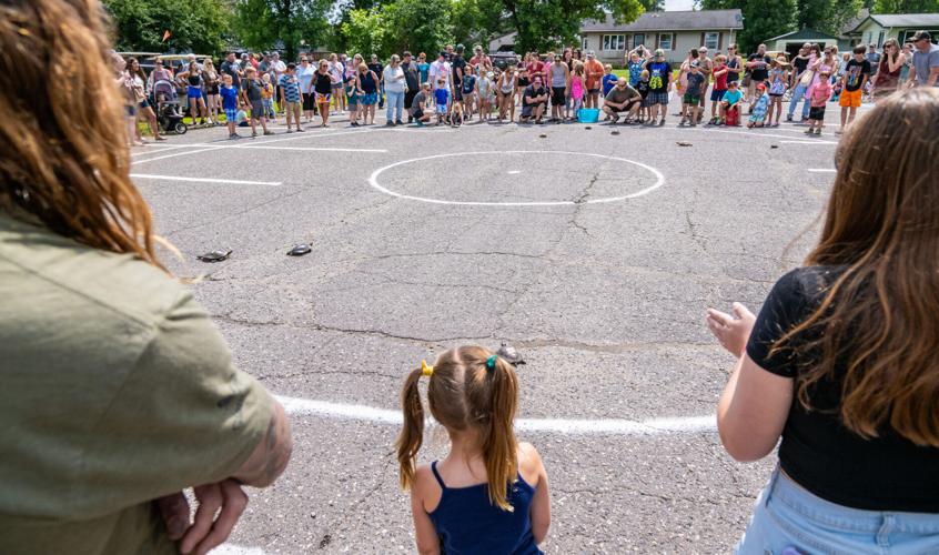 Turtle Races | Gallery | mesabitribune.com