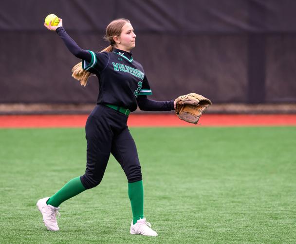 Rock Ridge-Superior Softball | Gallery | mesabitribune.com