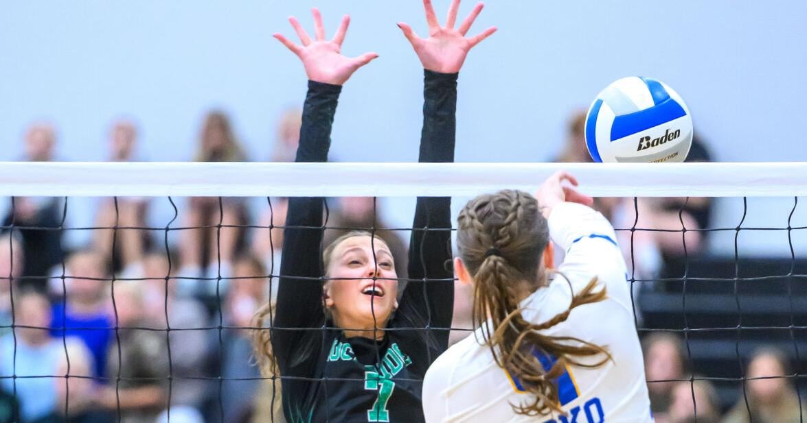 Wolverine volleyball falls short to Esko, 3-2 | Sports | mesabitribune.com
