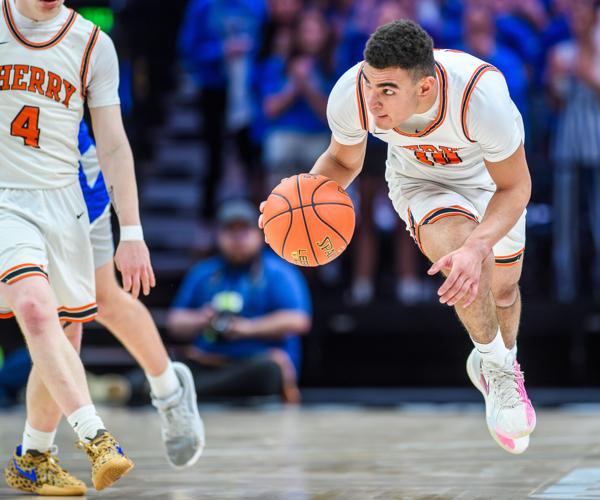 Bauer brothers lead Bulldogs past Tigers | Sports | mesabitribune.com